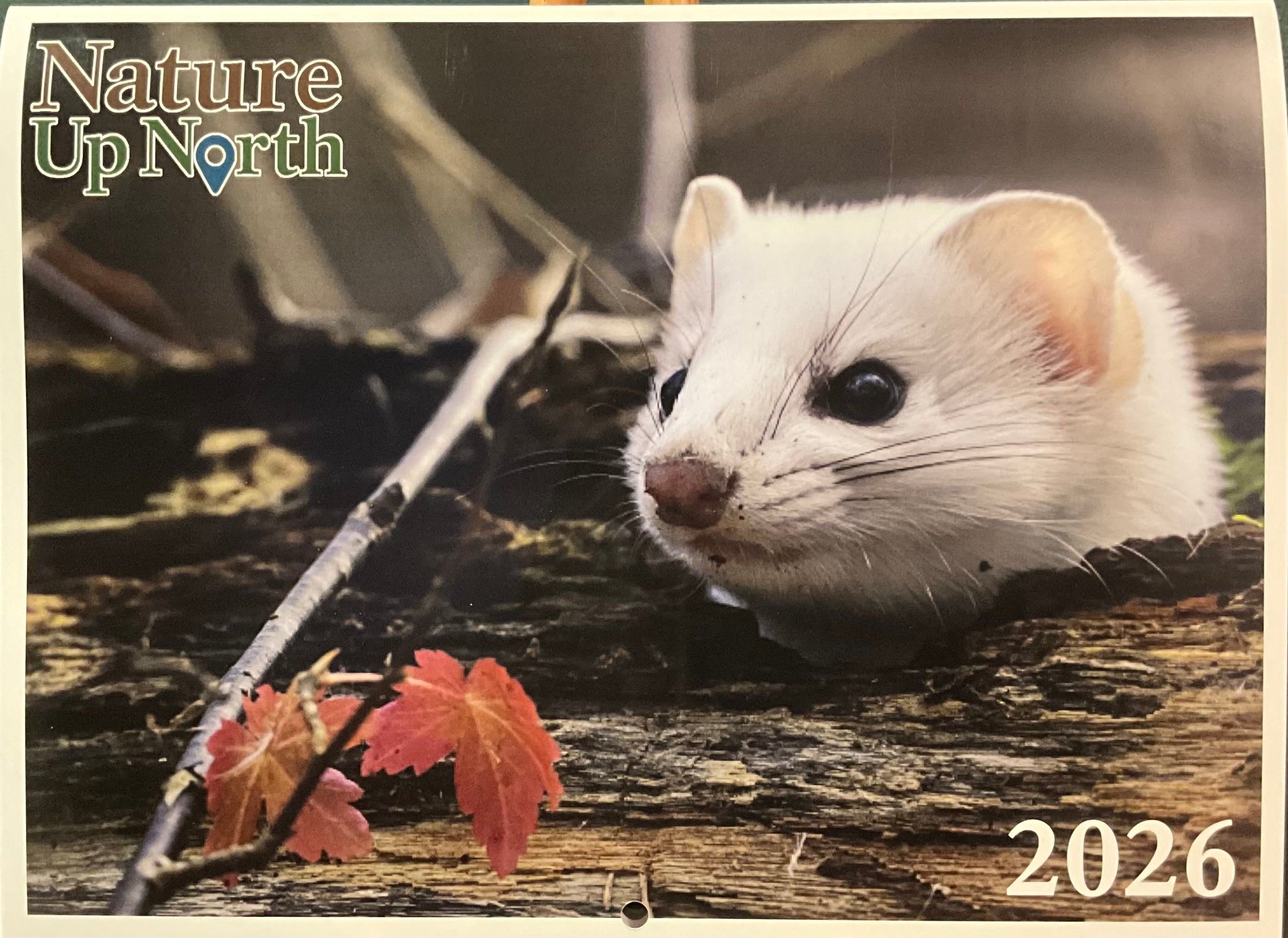 Nature Up North Calendar 2026 – TAUNY Folkstore